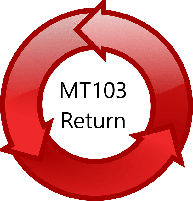 8. SWIFT MT103 Returns And Pacs.004 Explained | Payments In Fintech